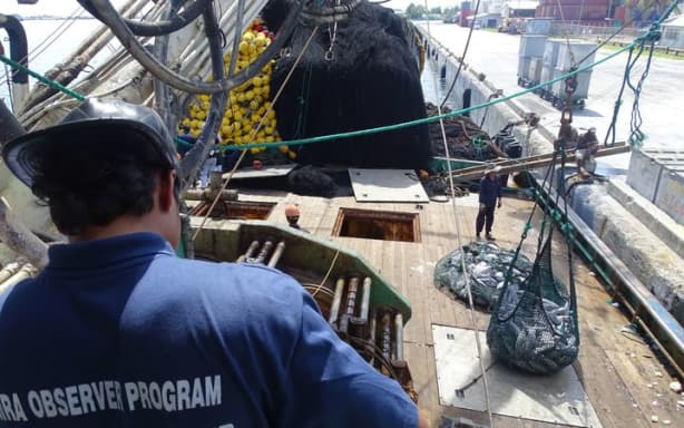 Call for curb on waste dumping by Pacific fishing fleets | RNZ