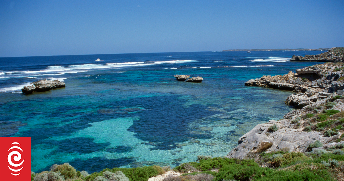 Man in critical condition after shark attack in western Australia | RNZ ...