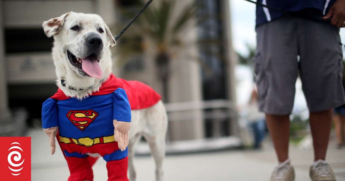 Benjamin Rogers: Becoming your own hero | RNZ