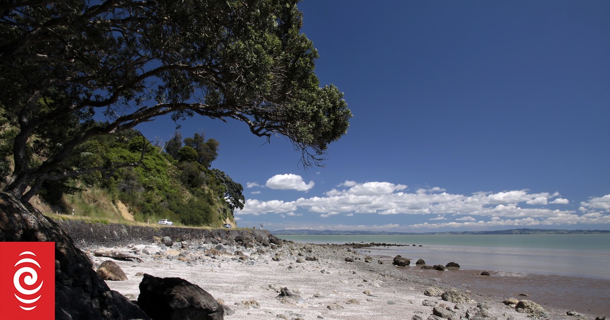 Around the motu: John Freer covering the Coromandel Peninsula | RNZ