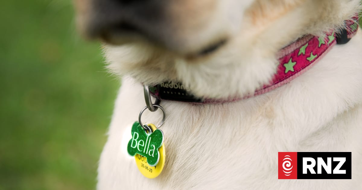 How much do dog owners pay for registration around NZ? | RNZ