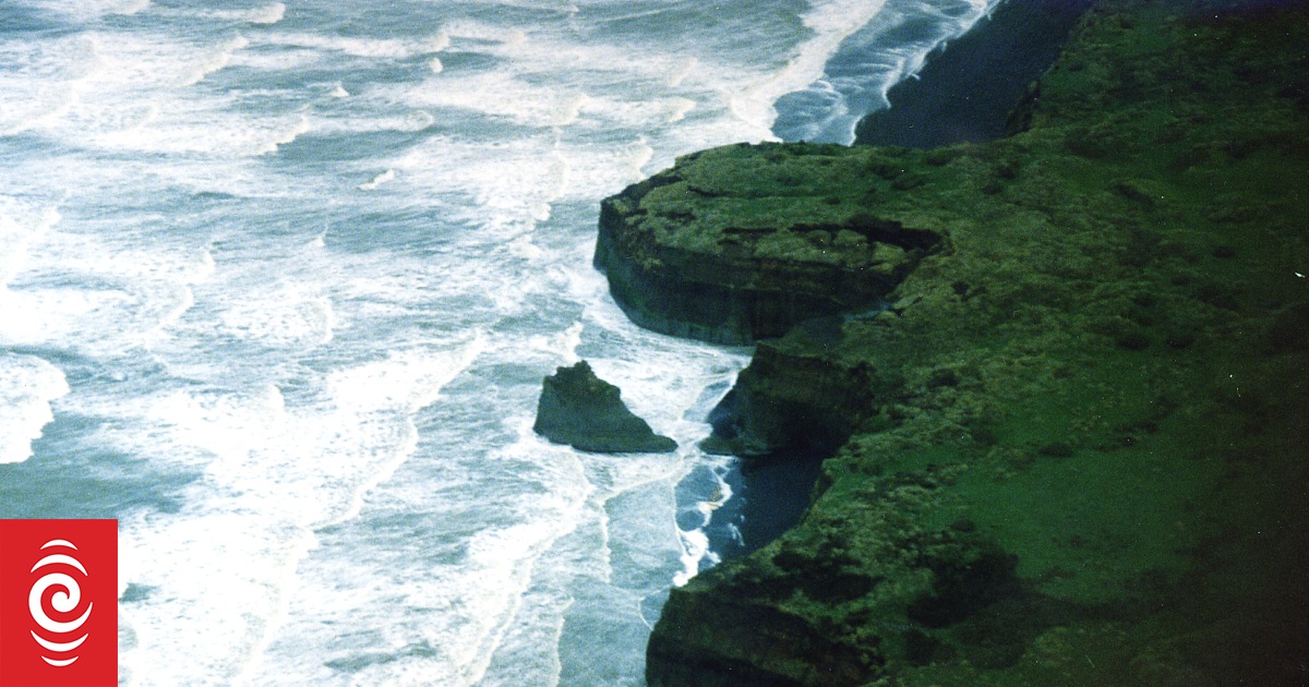 Trans Tasman Resources bids for fast tracking of Patea seabed mining ...