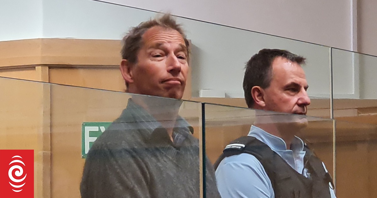 First person convicted of sabotage in NZ faces three years in prison | RNZ