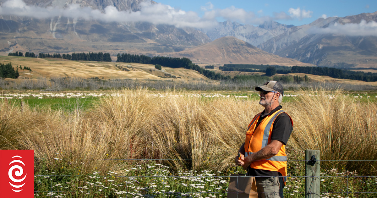 The Turning Point | Trailer | RNZ
