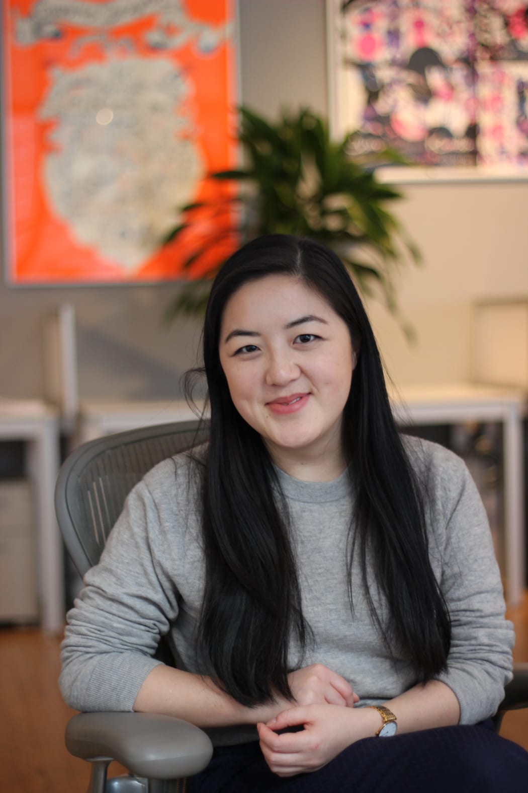 Best features of 2017: the historians | RNZ