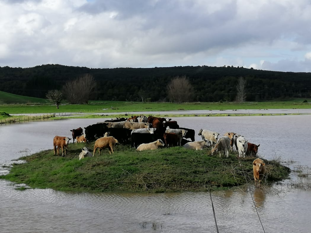 Expect more large destructive weather patterns | RNZ