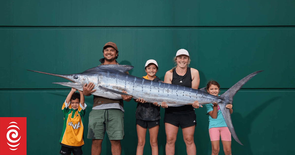 South Island fishers hauling in huge striped marlin | RNZ News