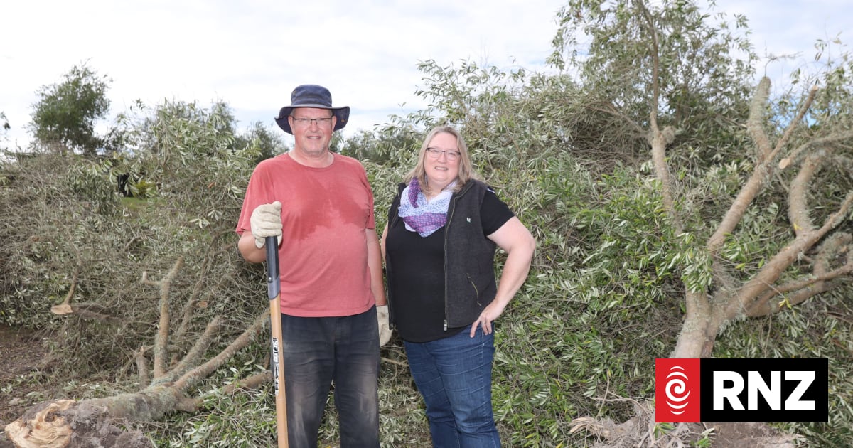 Tasman tornado clean-up: Salvaging the trees that 'became missiles' | RNZ
