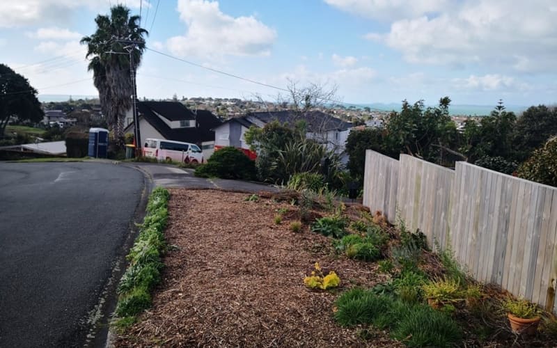 Auckland Transport orders roadside berm plantings to be removed | RNZ