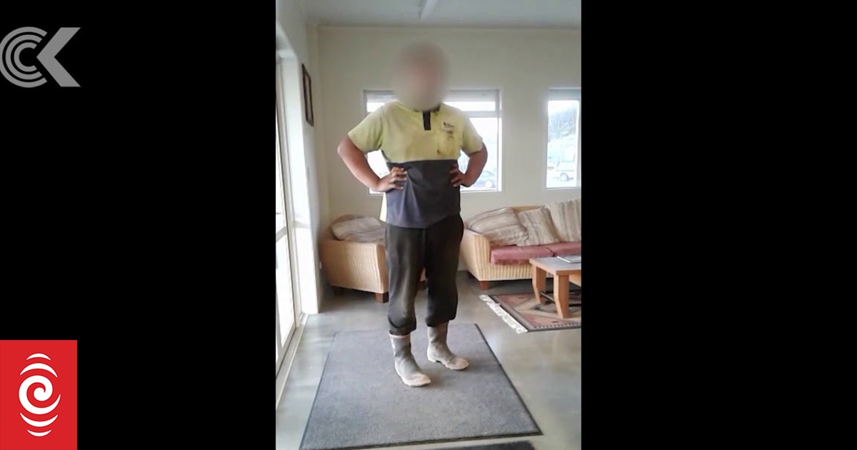 Logging boss alleged to have told driver to flout rules | RNZ