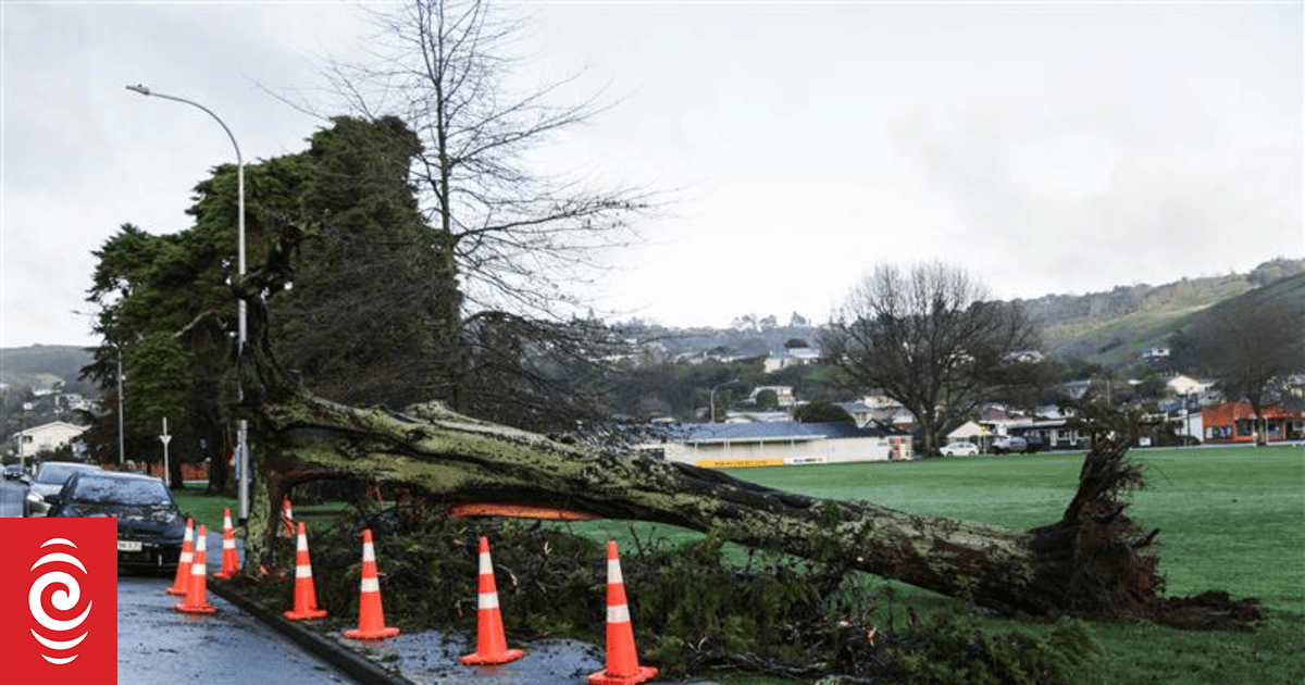 Wild weather: What you need to know as clean-up efforts begin | RNZ News