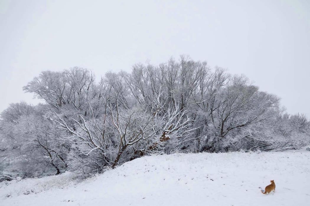 Gales, rain and snow for parts of the country as weather fronts barrel ...
