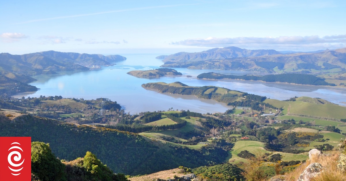 The Pre-Panel with Conor English and Verity Johnson | RNZ