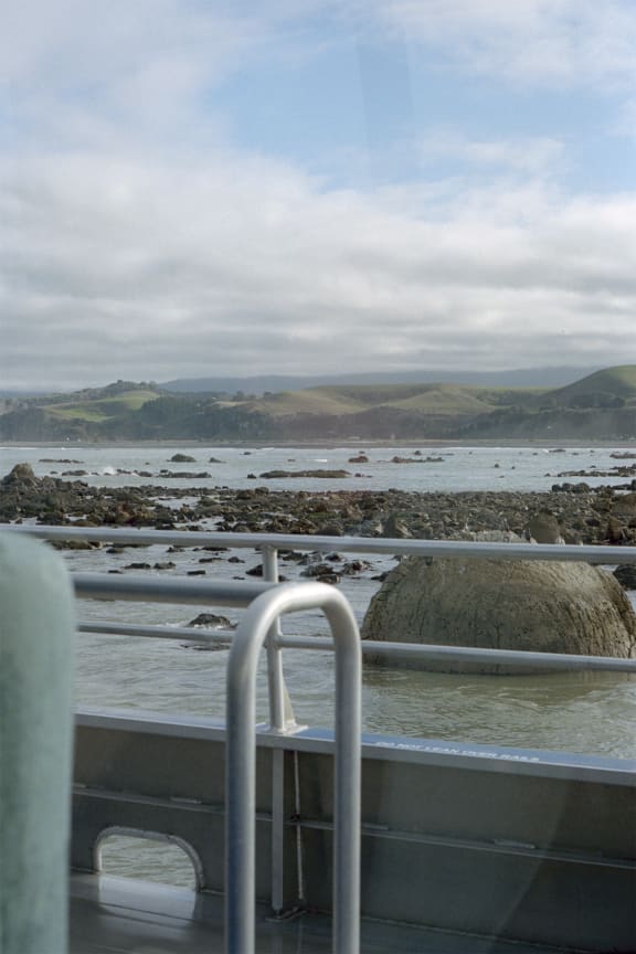 Artist Emily Parr is inspired by the sea | RNZ