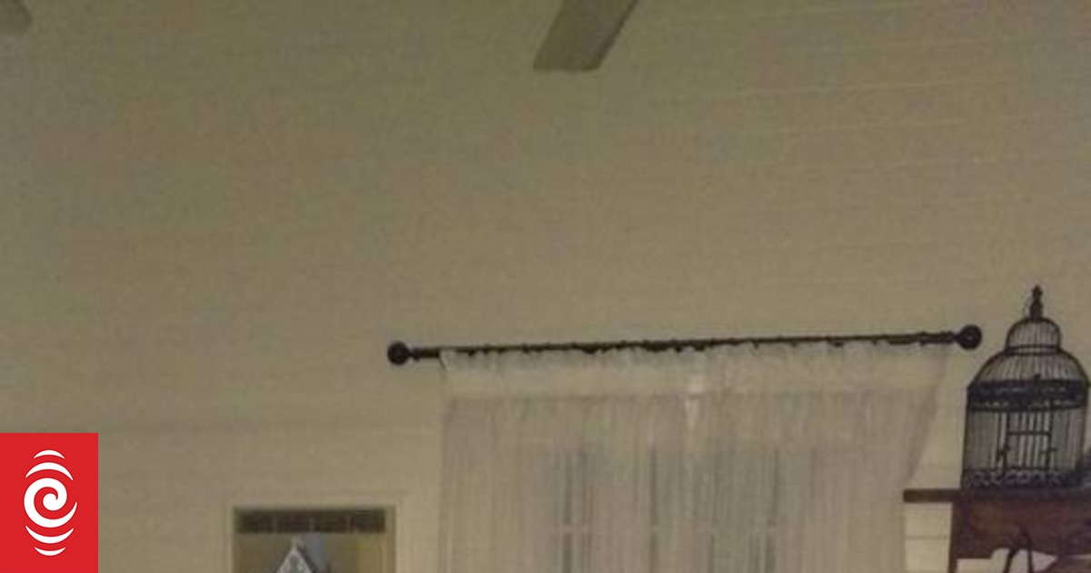 Lights, camera, python | RNZ News