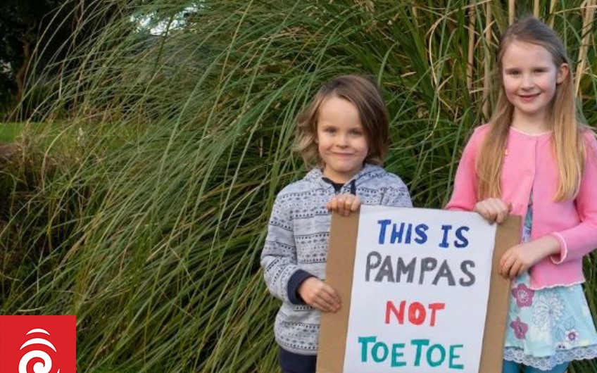 Seven year old spreads the word about a weed | RNZ