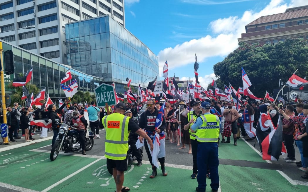 Hīkoi mō Te Tiriti: The final day march to Parliament in photos | RNZ News