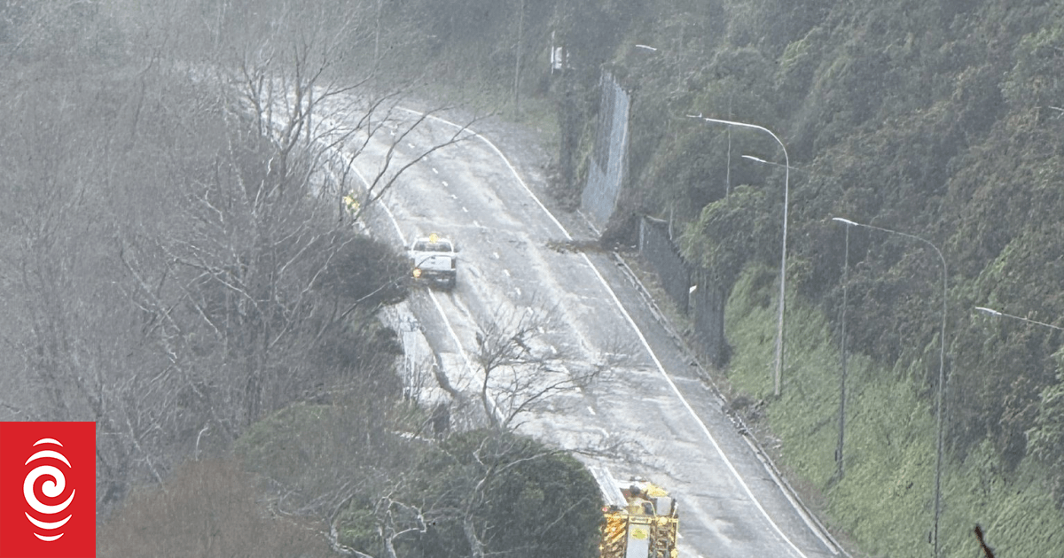 Lower Hutt road repens after large slip | RNZ News