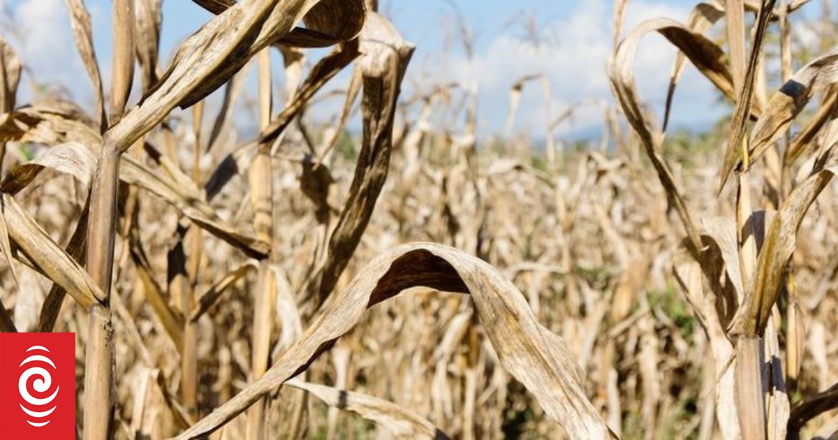 Over 67,000 affected by drought in Fiji | RNZ News