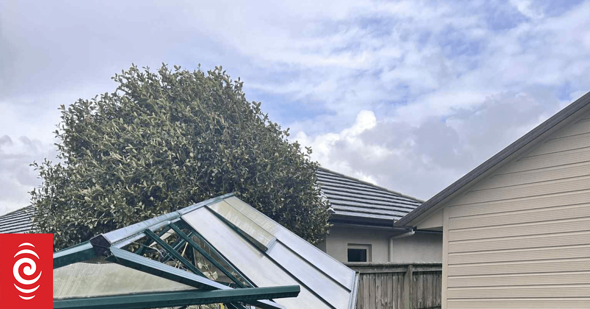 Glasshouse torn up, roofs ripped off: Invercargill local describes ...