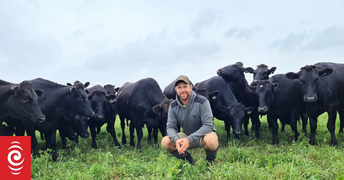 New direction for traditional farm | RNZ