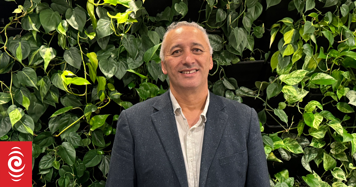 Concerns health legislation changes could 'weaken' voices of Māori ...