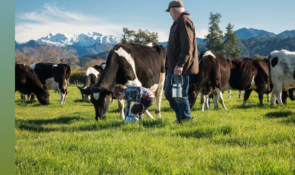 Country Life for Friday 29 June 2018 Country Life | RNZ