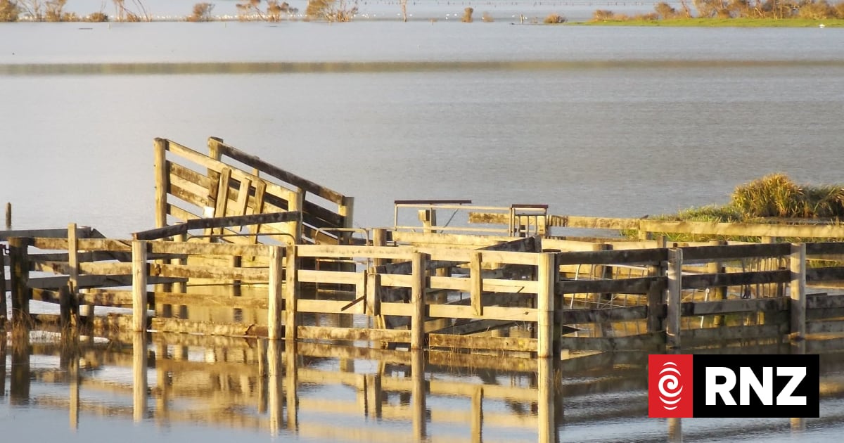 Storm-hit farmers to get support | RNZ