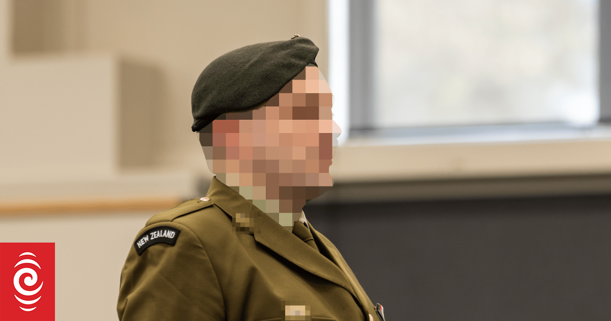Defence Force appealing sentence handed to soldier who thought he was ...