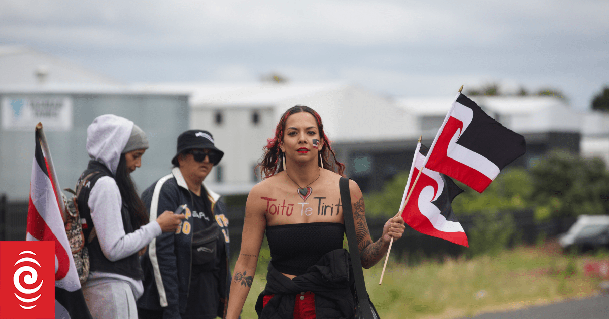In photos: People of the hīkoi, and why they marched | RNZ News