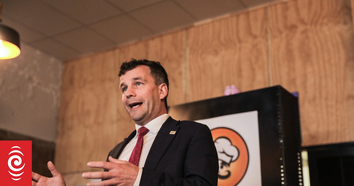 ACT candidate apologises for 'stupid' social media post | RNZ News