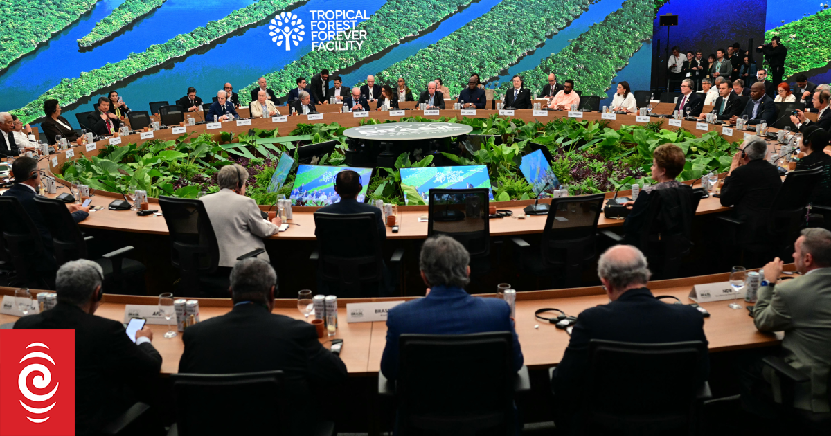 Window to save Earth 'closing rapidly' - COP30 host | RNZ News