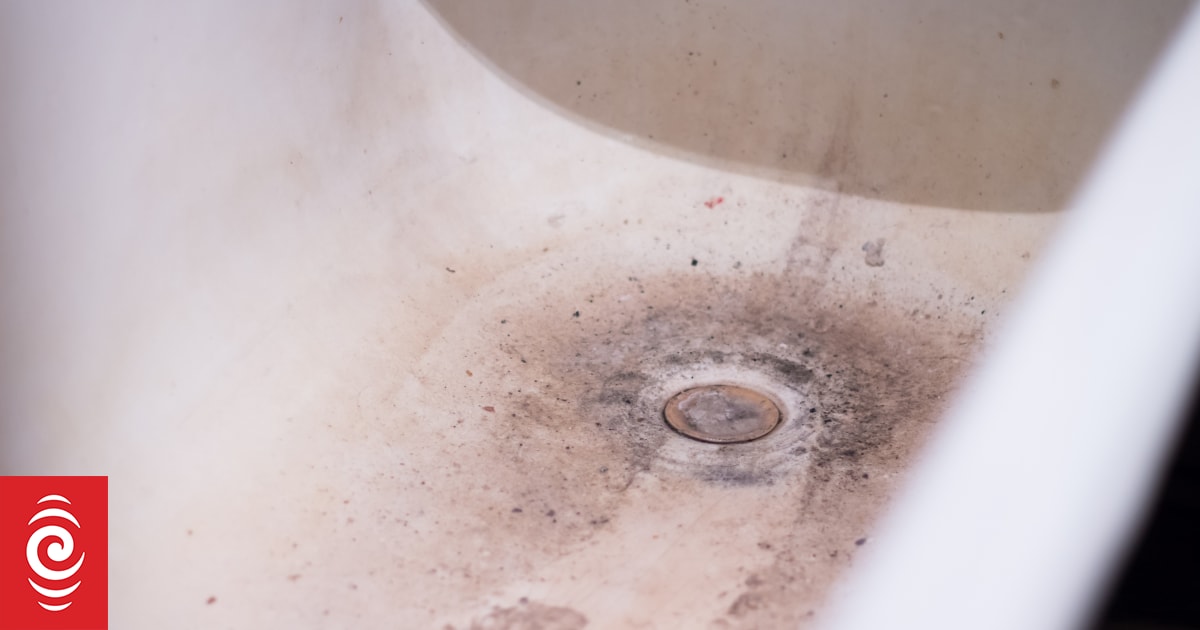 Understanding pink bathroom scum | News Minimalist