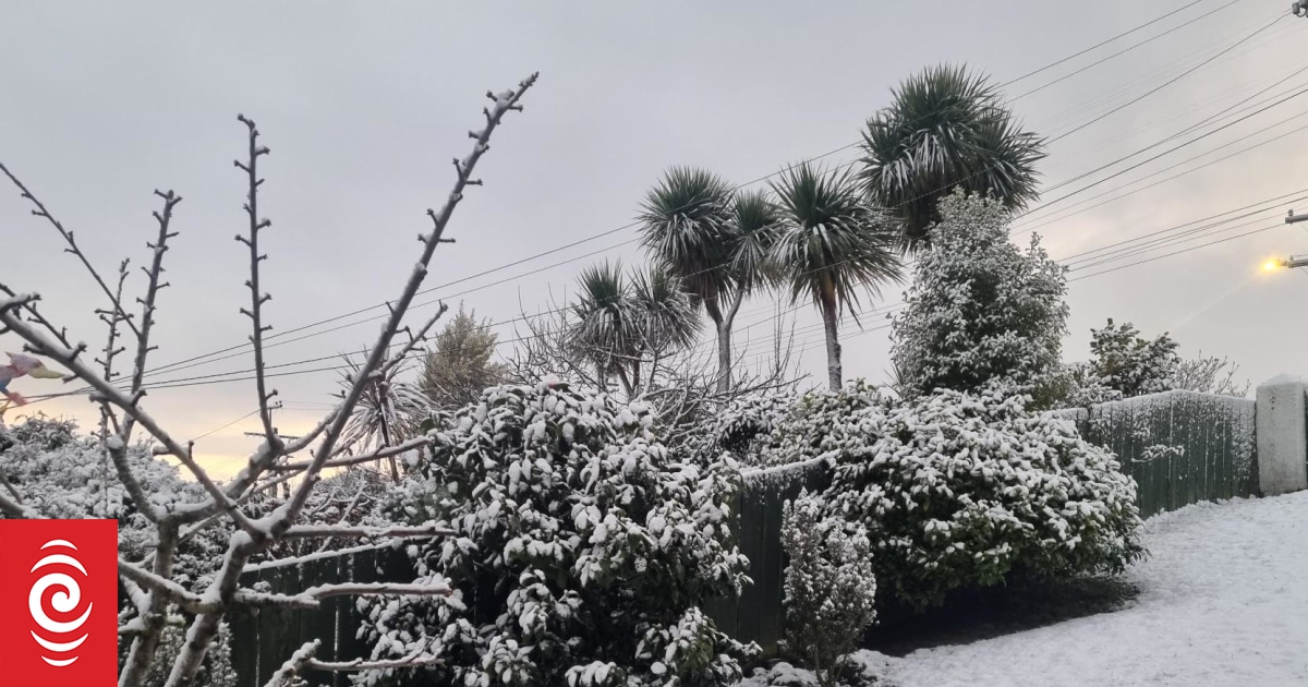 Snow falls in Dunedin | RNZ