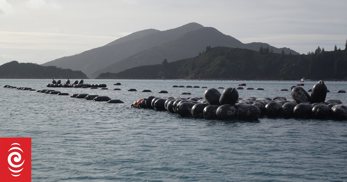 Human impact drives dramatic changes to Sounds | RNZ News
