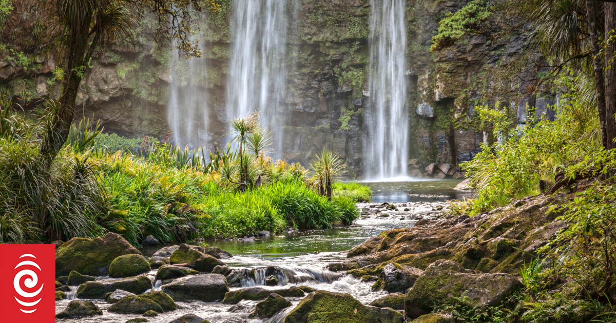 Thousands of biodiversity scientists decry fast track | RNZ