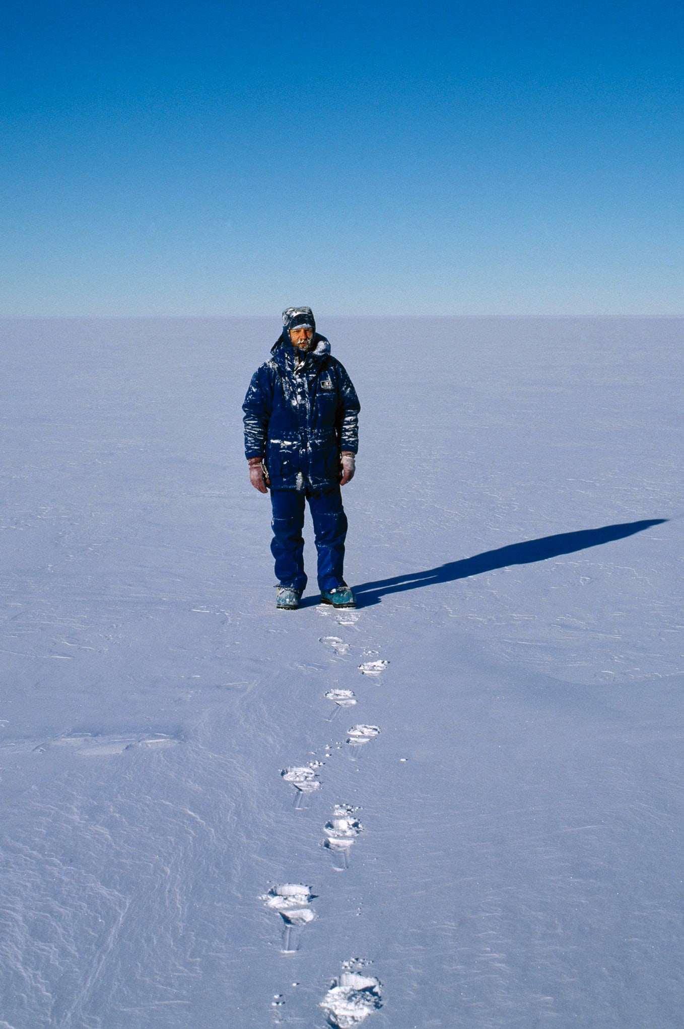 Bushline by Robbie Burton | A Gallery from Saturday Morning | RNZ National