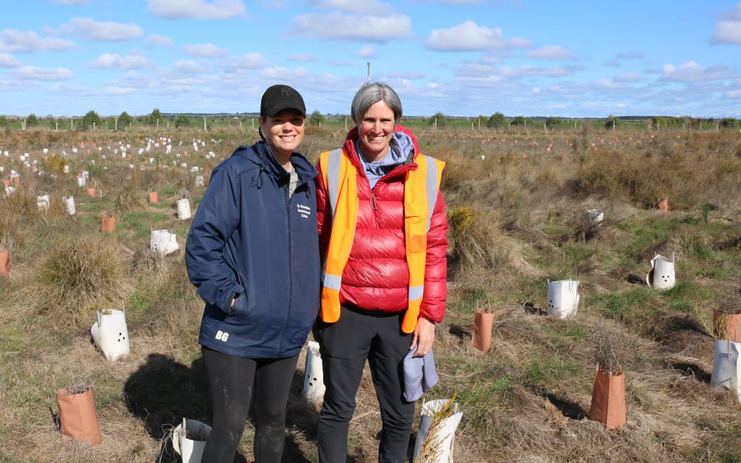 Country Life: Schoolkids put buzz back into biodiversity on a Pāmu ...