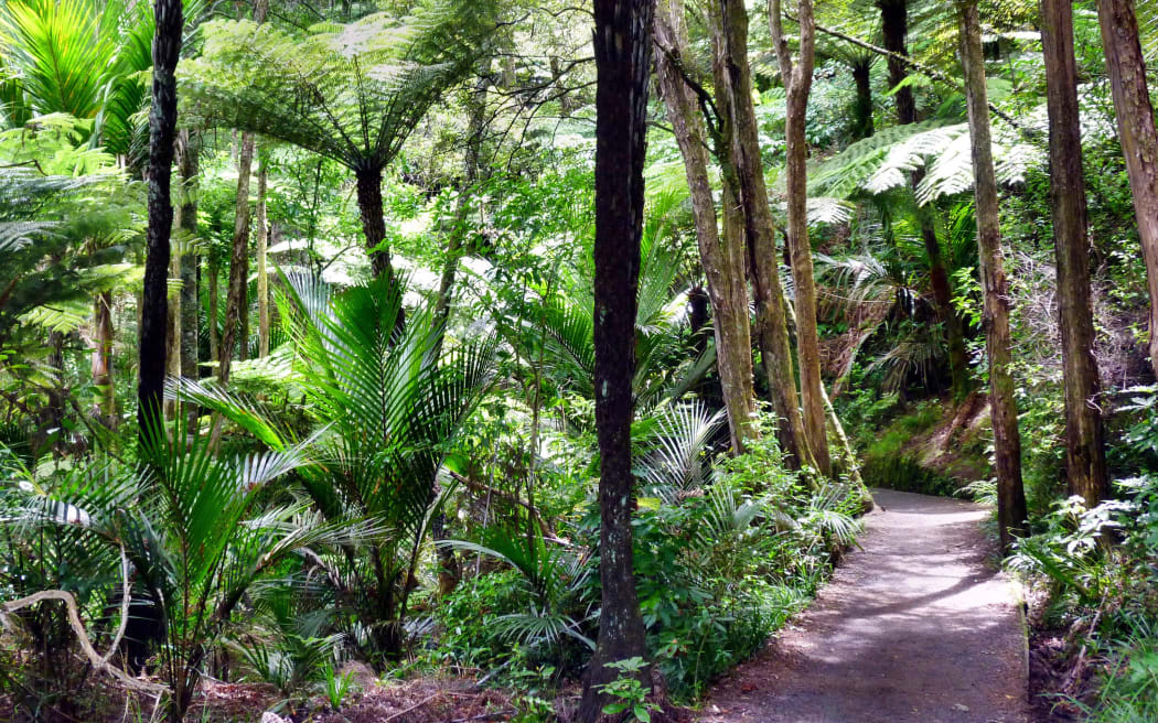Recloaking Papatūānuku hoping to restore almost one-fifth of NZ to ...