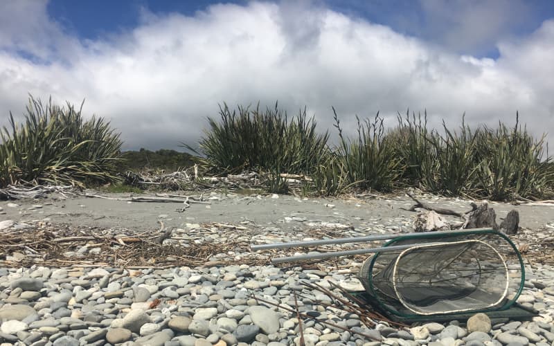 Confusion reigns over Covid-19 alert level whitebaiting rules | RNZ