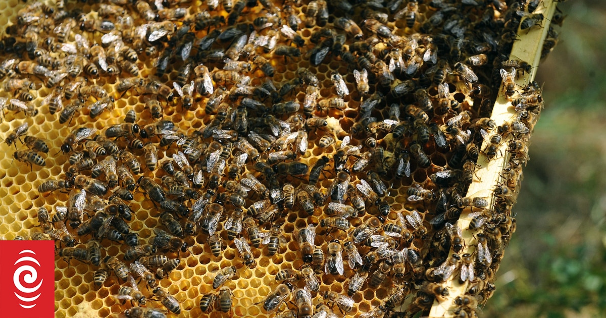 Call for ban of neonicotinoid insecticides | RNZ News