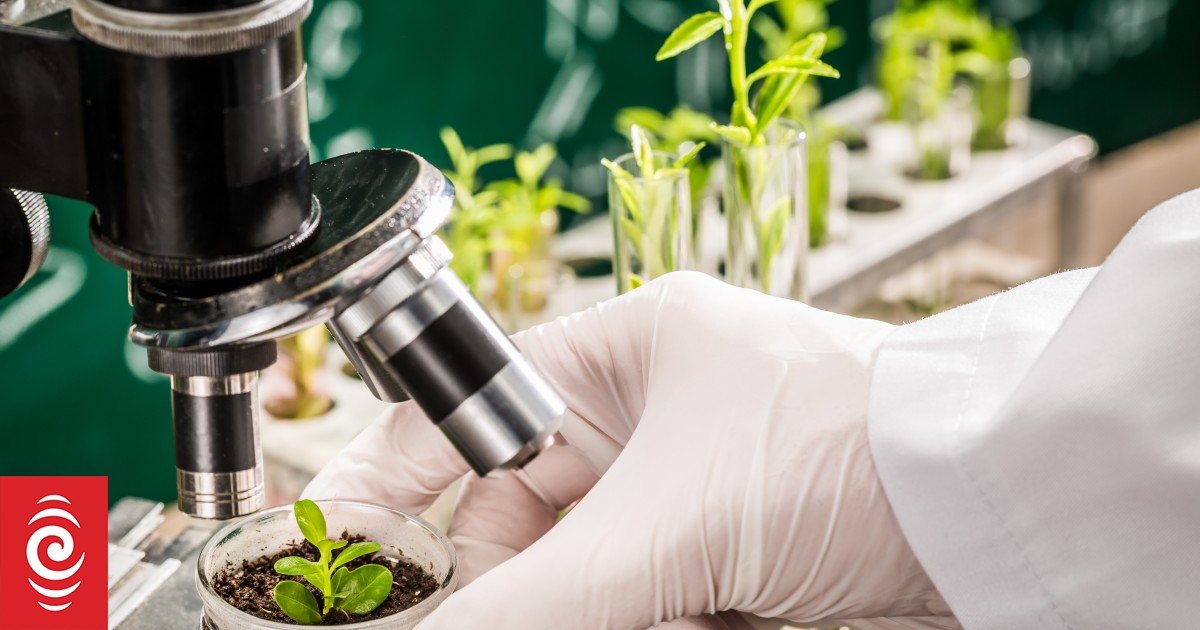 More detail on gene tech regulations to come, as industry mulls ...