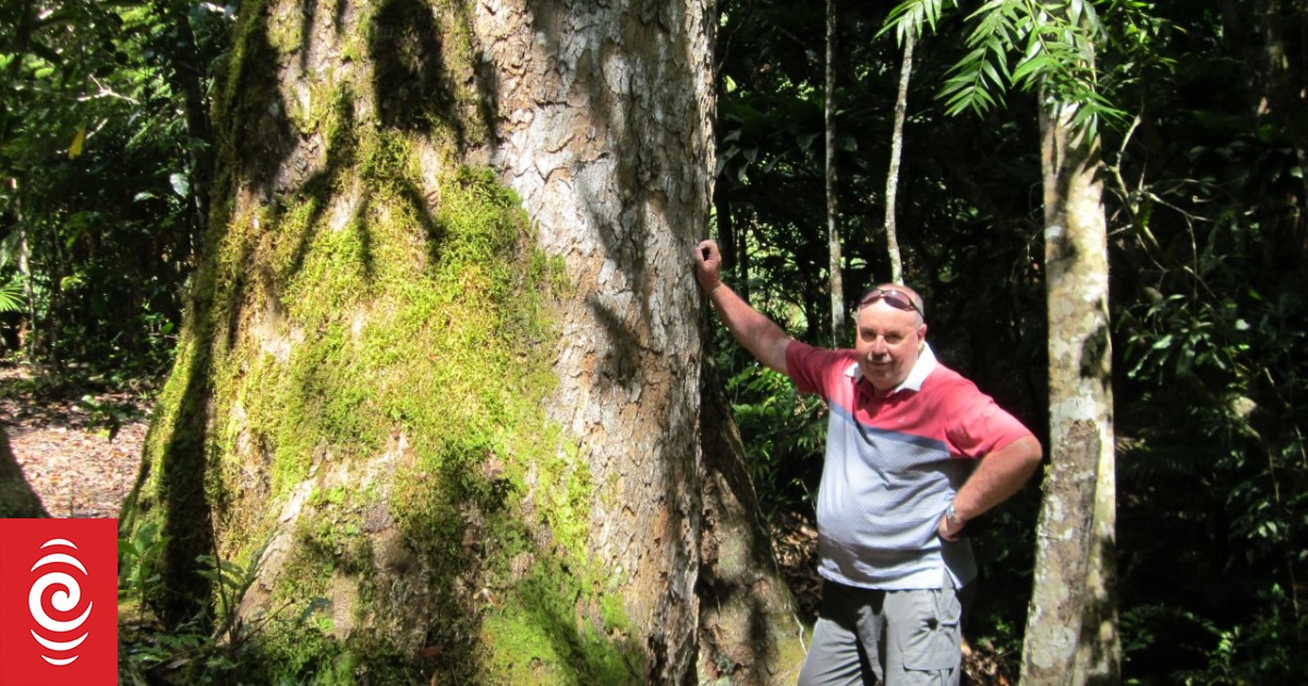 NZ's longest serving indigenous forest researcher retires | RNZ