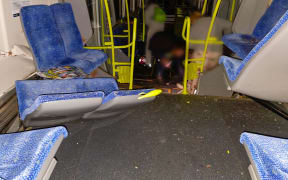 Wellington's Johnsonville line to reopen after train derailment | RNZ News