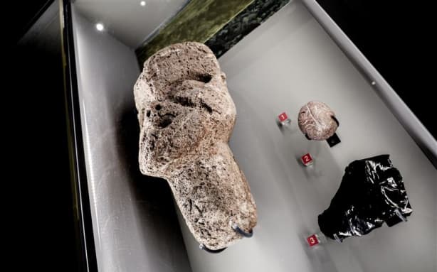 Auckland Museum reopens after five months closed due to asbestos | RNZ