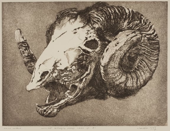 The Prints of Barry Cleavin | A Gallery from Arts on Sunday | RNZ National