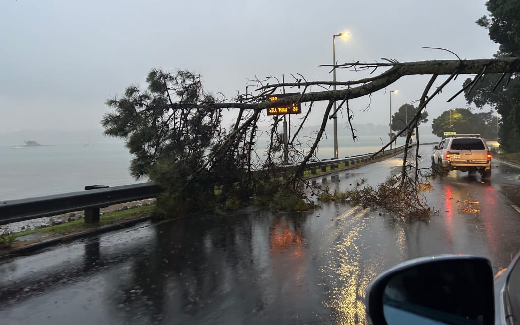 In photos: Heavy rain causes flooding, evacuations in Auckland | RNZ News