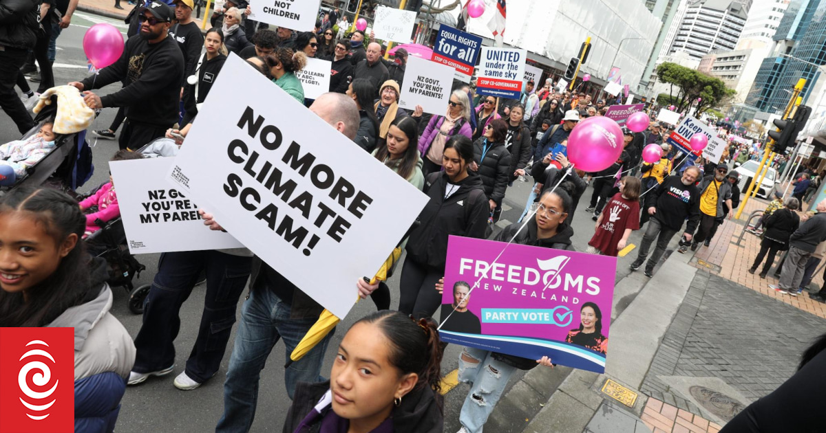 Hundreds of protesters gather in central Wellington | RNZ