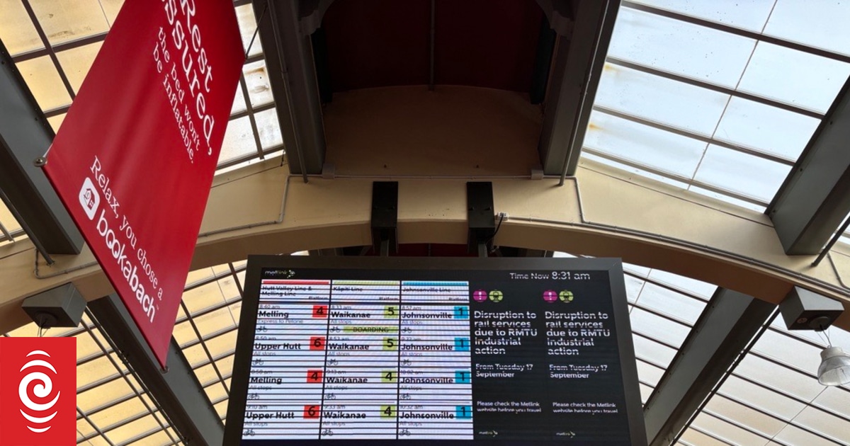 Wellington train so full commuter 'almost just passed out' | RNZ News