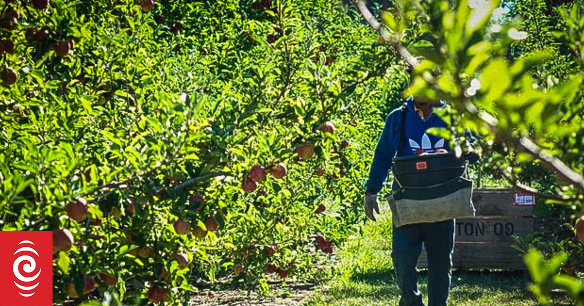 Can overseas workers boost Pacific prosperity? | RNZ News